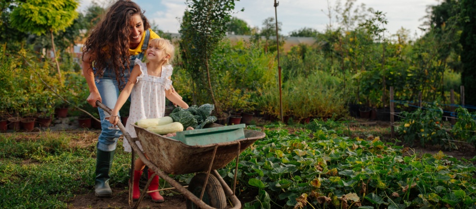 10 surprising benefits of gardening - Verso Wealth Management Ltd 10 surprising benefits of gardening - Verso Wealth Management Ltd